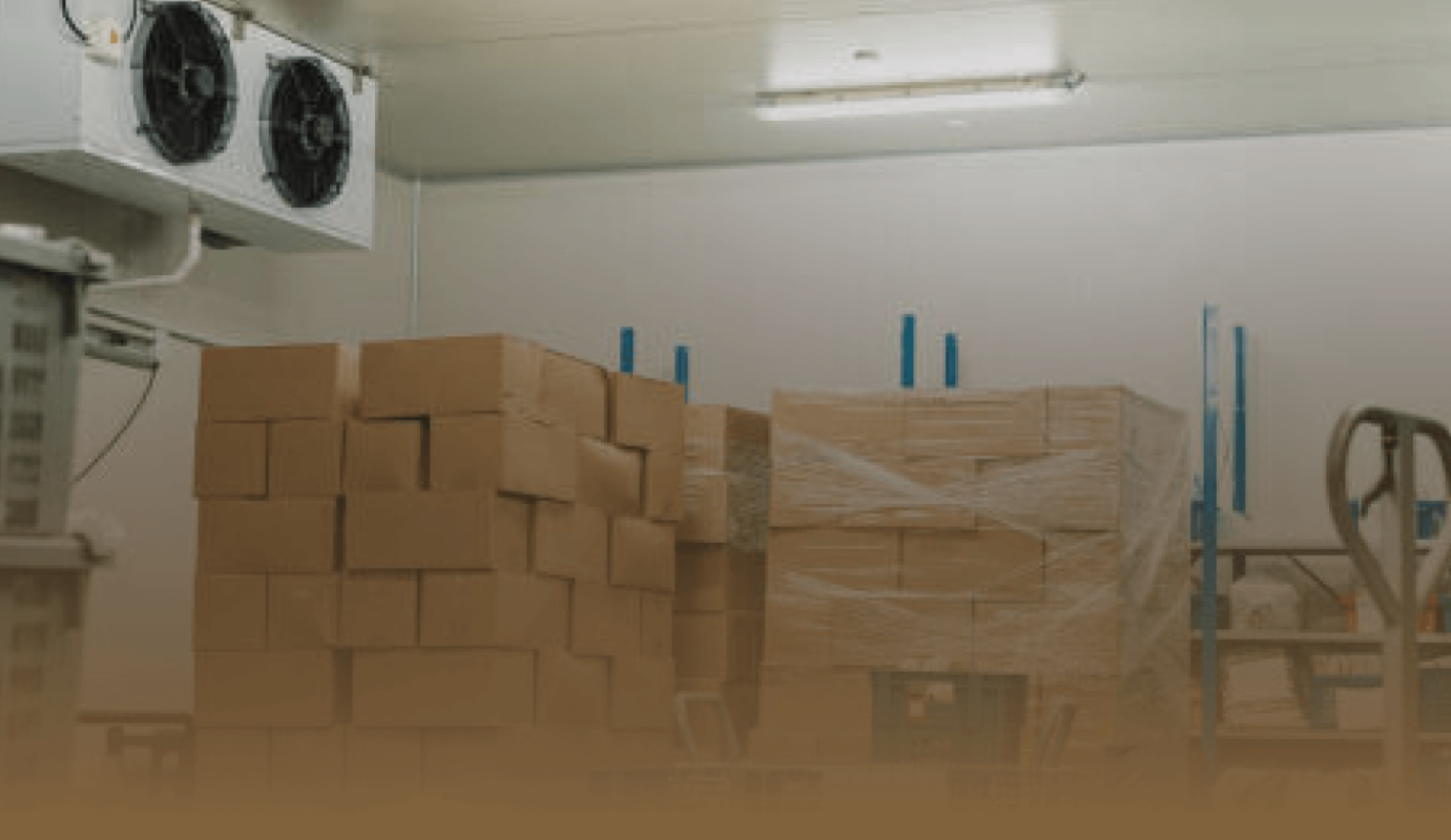 Integrated Logistics, Express delivery, Freight, Courier, Shipping ...